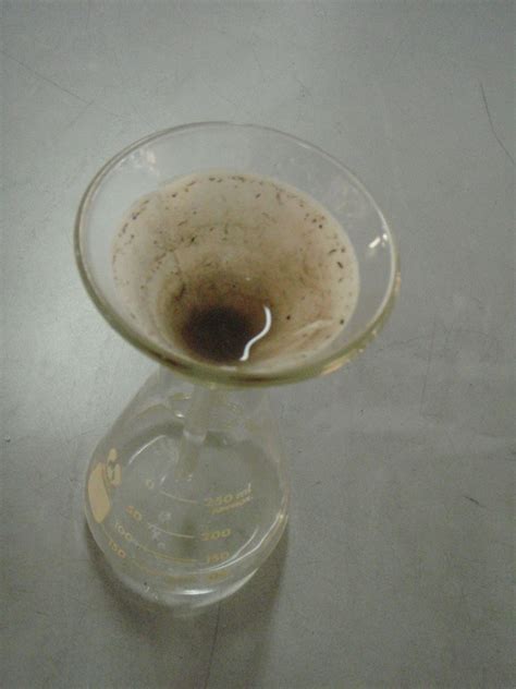 The Beauty Of Science Experiment Separated Mixture