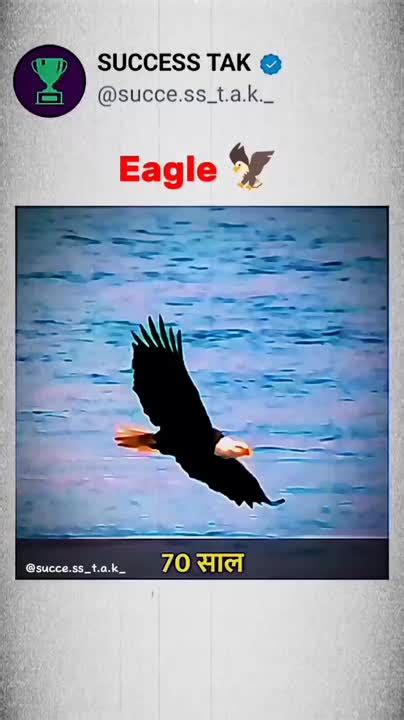 Rabia Zulfiqar Posted On Linkedin