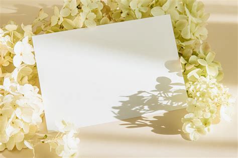 베이지색 파스텔 배경에 수국 꽃이 있는 초대 카드 모형 백서의 빈 템플릿은 브랜딩 및 광고를 위해 모의합니다 평면도 플랫 레이 복사 공간 0명에 대한 스톡 사진 및 기타