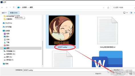 Webp格式的图片怎么打开？不用安装第三方插件 哔哩哔哩