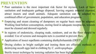 Botfly Ppt