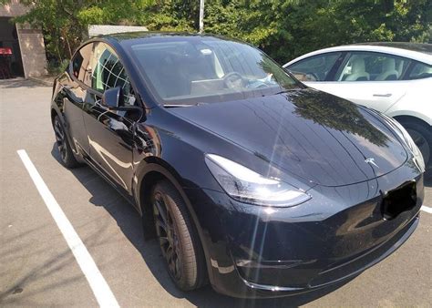 Tesla Model Yrepair Procedure Issue Auto Claim Specialists