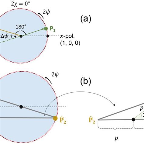 Exemplary Representation Of Two Non Orthogonal Polarization States On Download Scientific