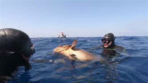 Pesca Profunda A 53 Metros Por Daniel Duran Del Equipo Cressi