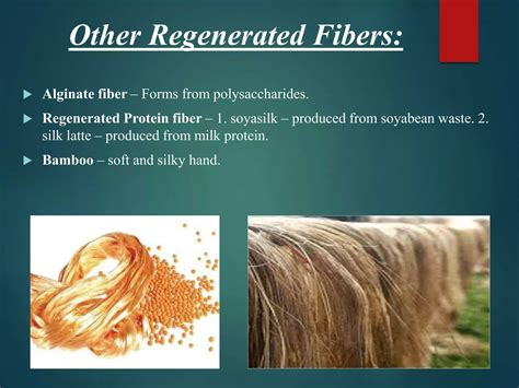 Fiber Classification Ppt Pptx Fiber Classification Ppt Pptx