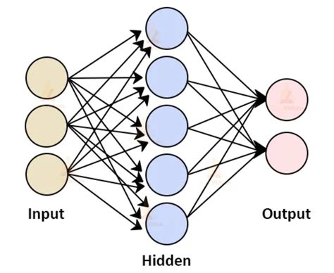 What Are The Most Popular Neural Network Architectures