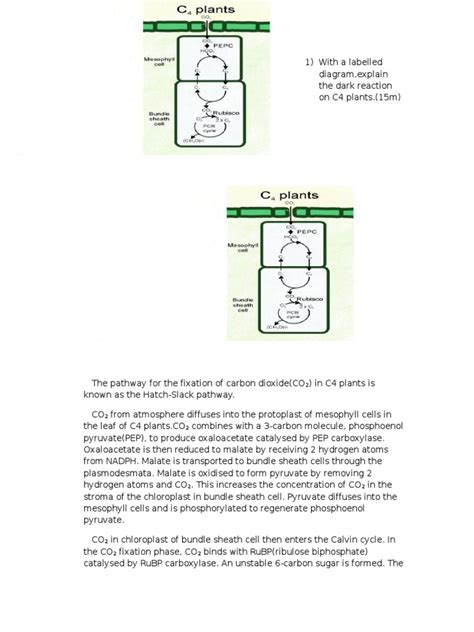 PDF With A Labelled Diagram DOKUMEN TIPS