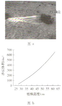 风影沙丘 风影沙丘形成示意图 抛物线沙丘动画 大山谷图库