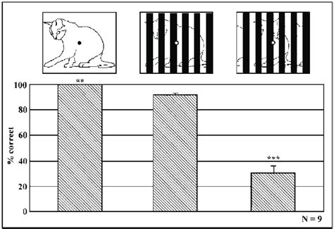 naming performance during the different conditions average naming