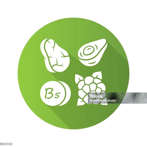 비타민 B5 그린 플랫 디자인 긴 그림자 문 고 아이콘 고기 아보카도 콜리플라워 건강한 식습관 판토테닉 산 천연 식품 소스 미네랄 항산화제 벡터 실루엣 일러스트레이션 0명에