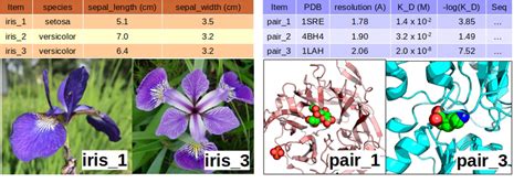 Schematic Depiction Of Feature Observation For An Iris Side By Side Download Scientific Diagram