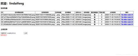 Springboot实现文件上传、下载到服务器spring 下载远程文件存储在服务器 Csdn博客