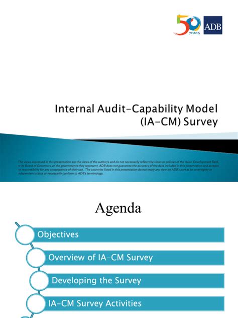201703 Internal Audit Capability Model Pdf