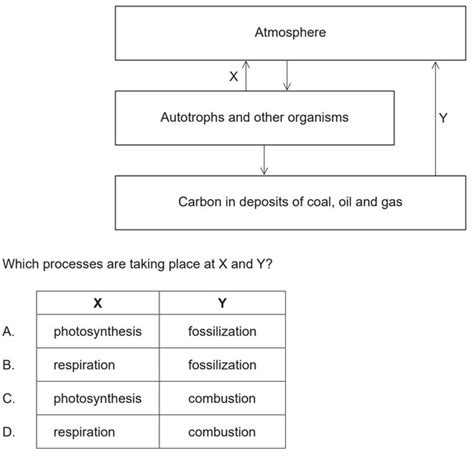 Mock Exam IB DP Biology SL Paper 1 Set 7