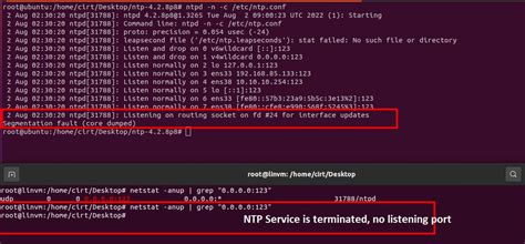 Udp Based Amplification — The Dangerous Ddos Attack Vector Apnic Blog