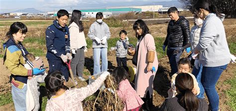 農場便り前橋農場で秋のじゃがいも堀りさつまいもを使った干し芋つくり体験イベントを開催しました