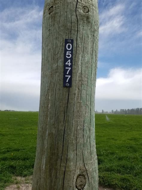 Power Pole Object Detection Model By Poles