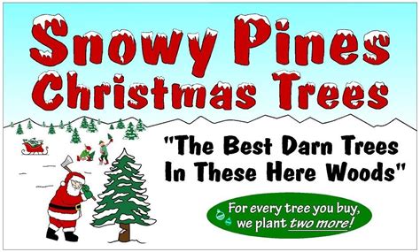 Snowy Pines Christmas Trees Long Beach Ca Snowy Pines Christmas Trees Long Beach Ca