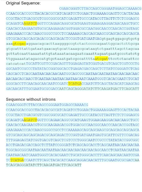 The Sequence Below Is A Partial Dna Sequence Only