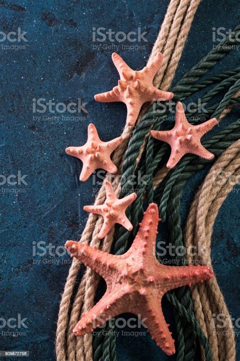 스타 물고기 진한 파란색 배경에 해양 로프와 여름 시간 바다 휴가 배경 개념에 대한 스톡 사진 및 기타 이미지 개념 공란 껍데기 Istock