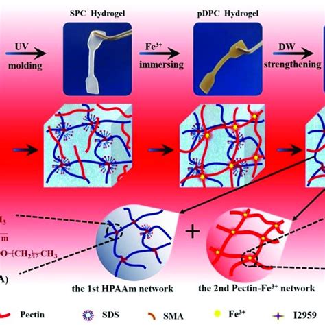 Pdf Fundamental Concepts Of Hydrogels Synthesis Properties And Their Applications