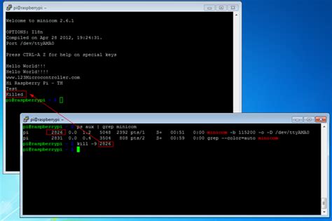 Raspberry Pi Th Minicom Friendly Serial Communication Program