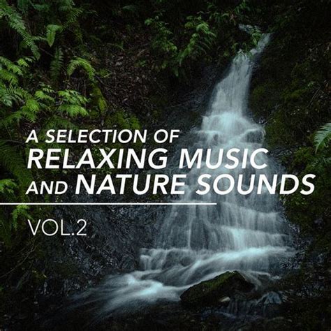 A Selection Of Relaxing Music And Nature Sounds Vol 2 Proxim Media