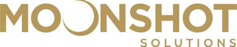 Private Equity Moonshot Solutions