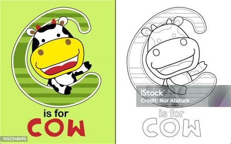 C 알파벳에 암소 만화와 색칠하기 책의 벡터 그림 로고에 대한 스톡 벡터 아트 및 기타 이미지 로고 축우 유머 Istock