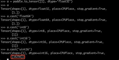 paddle cast转换为 unit 时的bug Issue PaddlePaddle Paddle GitHub
