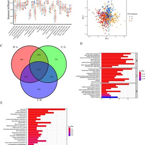 Tme Immune Cell Infiltration And Transcriptome Characterization In