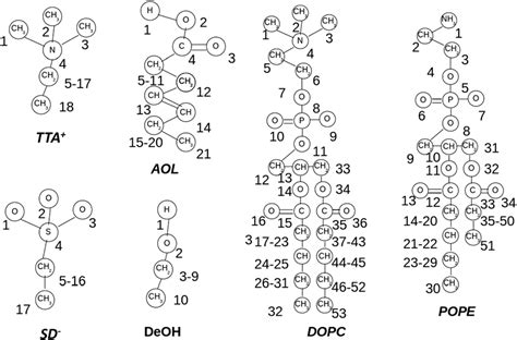 Atoms Numeration Of All Molecules Involved In The Simulations Download Scientific Diagram
