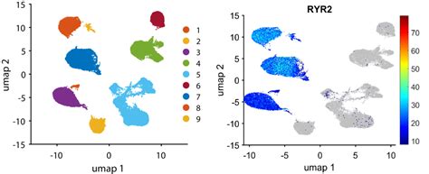 Analyze Single Cell With Ai Based Pipeline Jay Zhang Lab