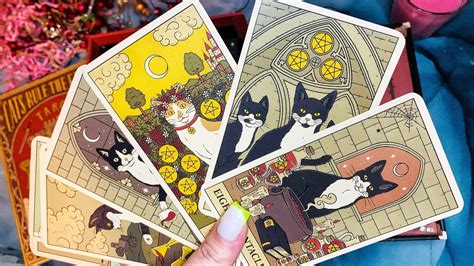 Cats Rule The Earth Tarot / Таро ‘Кошки правят землей’ 😹😻😺🙀😹🙀😺😻 - YouTube