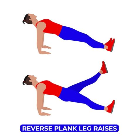 premium vector vector man doing reverse plank leg raises leg pull