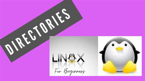 Linux Managing Directories Youtube