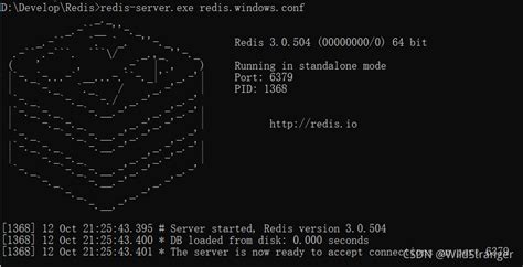 Redis：报错creating Server Tcp Listening Socket 6379 Bind No Error Csdn博客