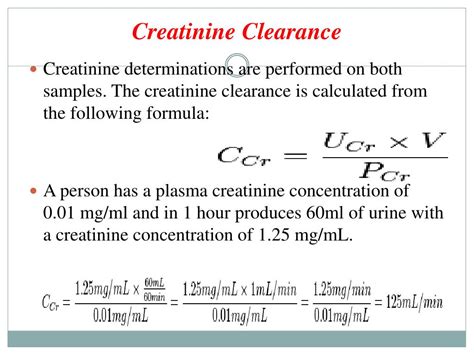 Creatinine Clearance Equation 24 Hour Urine Tessshebaylo
