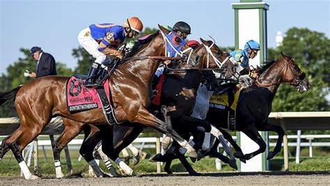 Using History To Handicap The Haskell Stakes