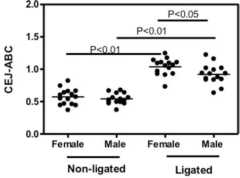 Sex Dimorphism In Periodontitis In Animal Models Pmc