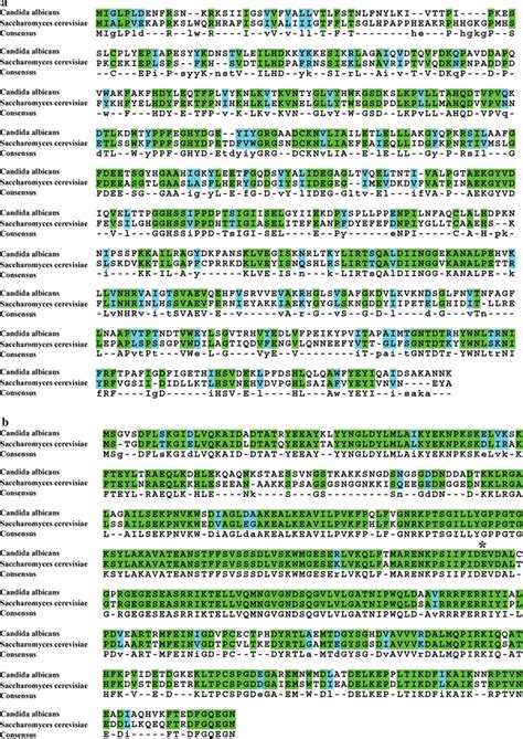 Sequence Alignment Of C Albicans And S Cerevisiae Cps A And Vps4