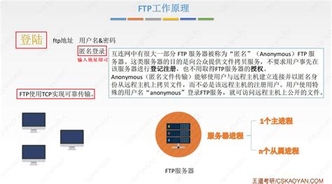王道计算机网络课代表 考研计算机 第六章 应用层 究极精华总结笔记计算机网络万维网之前是哪个章节 Csdn博客