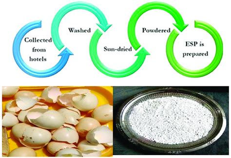 Method Of Eggshell Powder Manufacturing Method Of Eggshell Powder