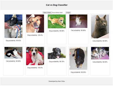 Github Aranoribudogs Vs Cats Classification Flask App This Is The