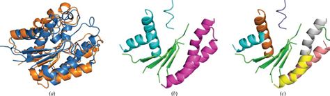 Tests On Pdb Entry 1yzf A Final Structure Blue Versus The Template Download Scientific