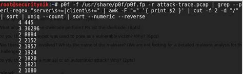 Learning By Practicing Active Nmap Vs Passive P F Information Gathering