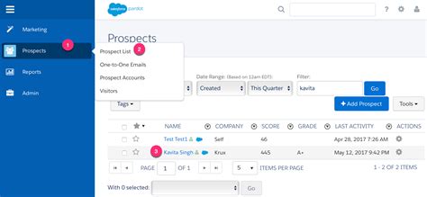 getting started with pardot part 4 overview of prospect record