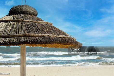 푸른 하늘을 배경으로 바다 바다 해안이 있는 텅 빈 해변에 있는 밀짚 해변 등나무 파라솔 편안한 하루 텍스트를 위한 공간을 복사합니다 목가적인 여행과 여름 휴가 컨셉 밀짚