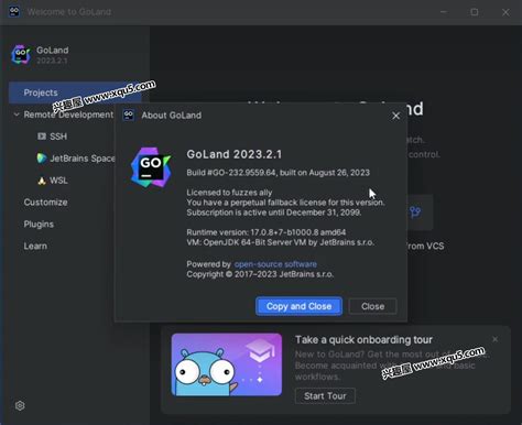 Jetbrains Goland 汉化中文破解版 2024 1 4 Go语言ide工具 实用软件 兴趣屋