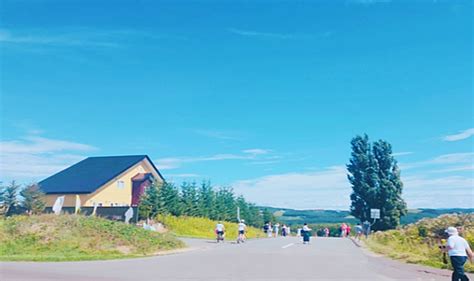 [6월 특가] 홋카이도 북해도 And 후라노 And 비에이 버스투어 쥰페이 예약 웨이팅 No